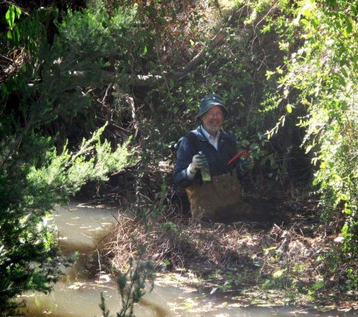 Working Bees | Blackburn Creeklands